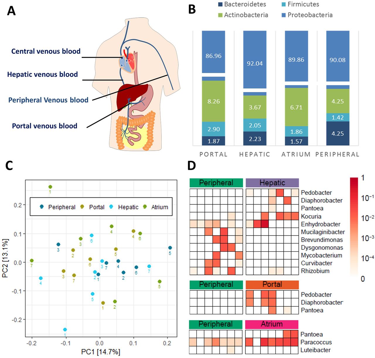 Circulating microbiome in blood of different circulatory compartments | Gut