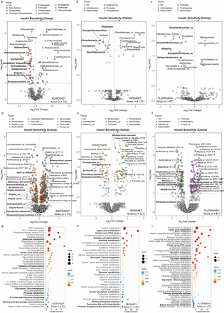 Multiomics of the intestine-liver-adipose axis in multiple studies ...