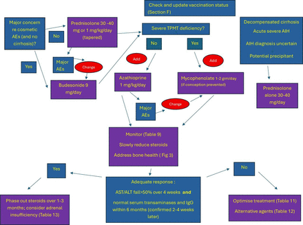 British Society of Gastroenterology guidelines for diagnosis and ...